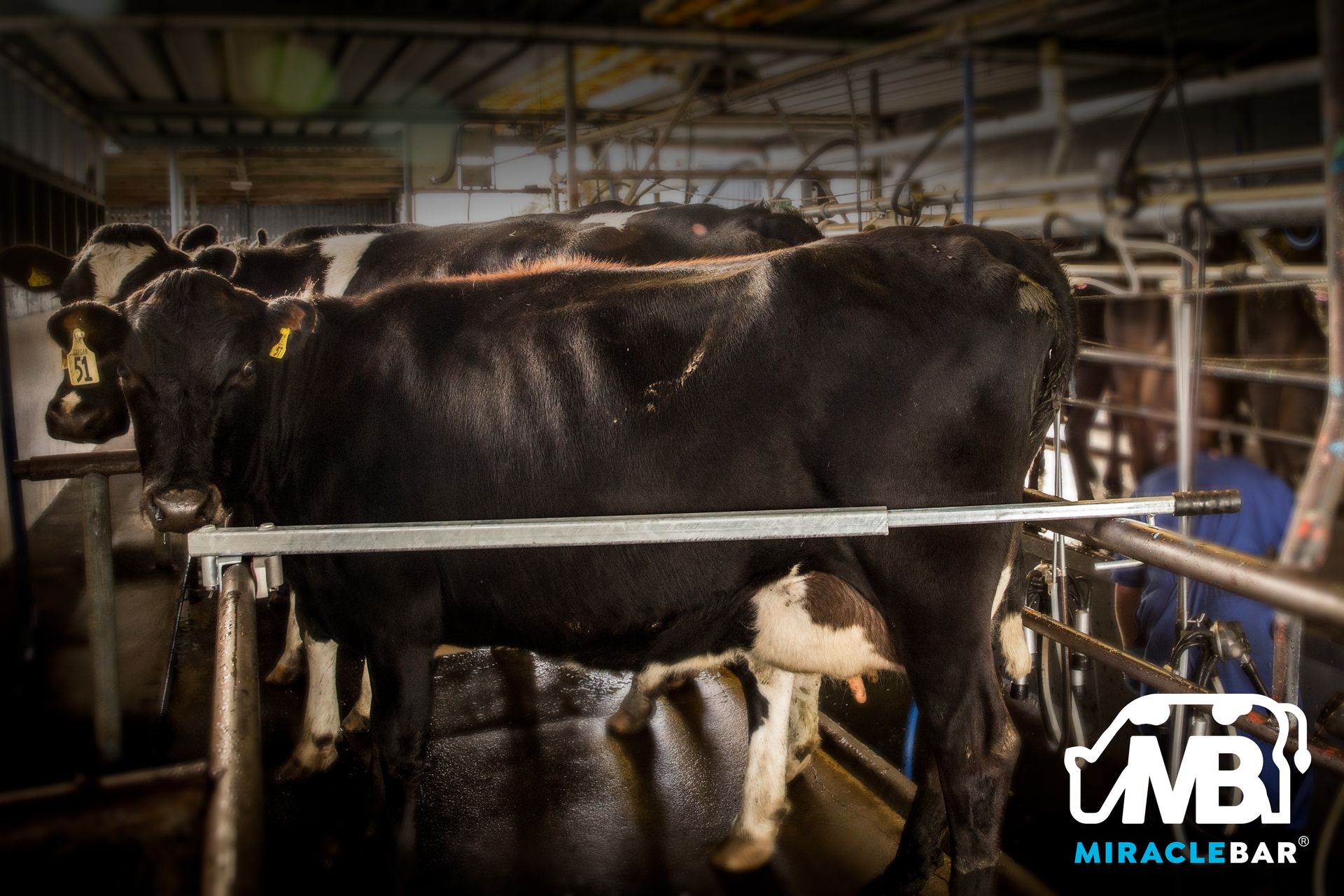 Contact Us | Miracle Bar